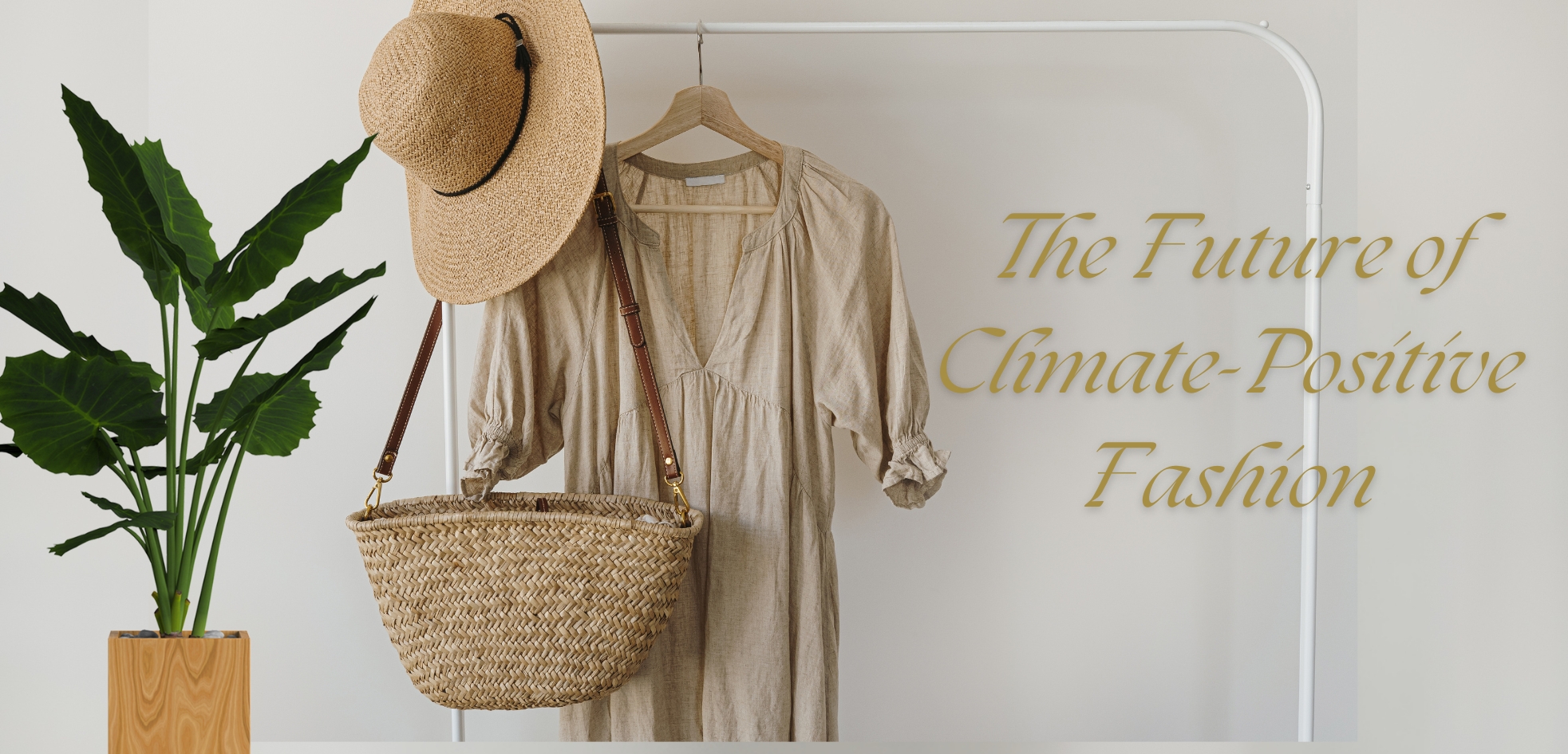 Climate-Positive Fashion: Trends Shaping Tomorrow’s Wardrobe